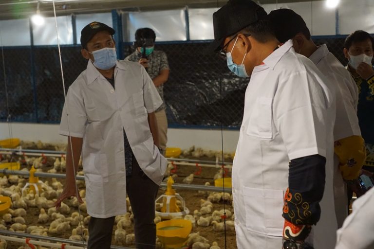 Peresmian Teaching Farm Closed House PT. Charoen Pokphand Indonesia Tbk ...